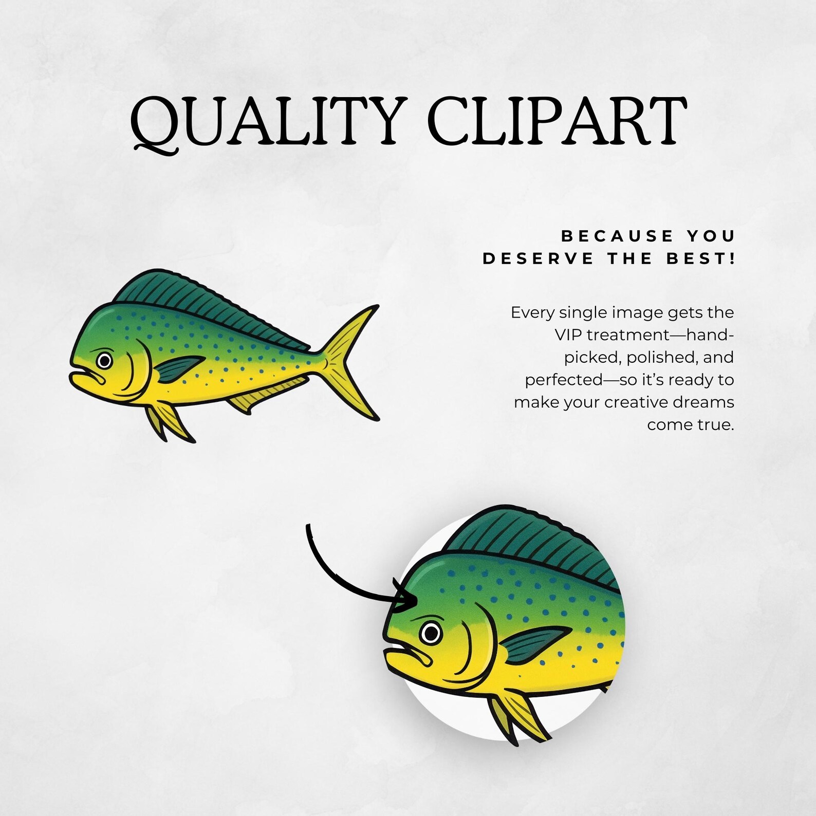 Mahi Mahi PNG, Watercolor Mahi Mahi Fish Clip Art, Deep Sea Fishing ...