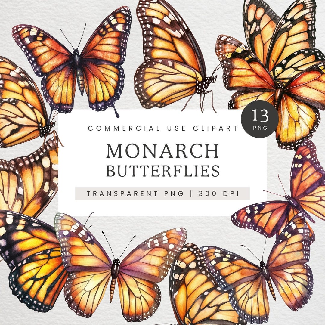 Monarch Butterfly Watercolor Png, Monarch Butterflies Clipart, Orange ...