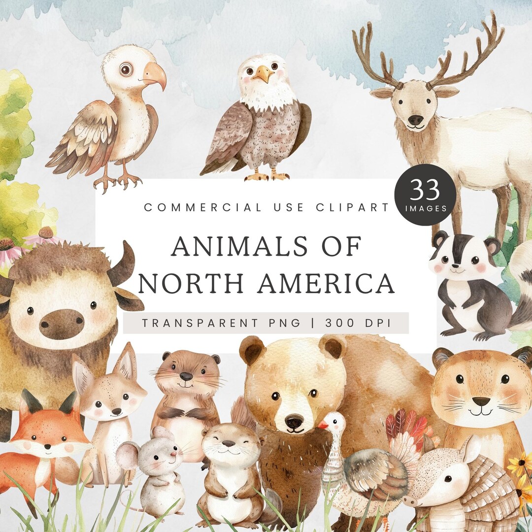 North American Animals Clipart, Central American Animal Clip Art, USA ...