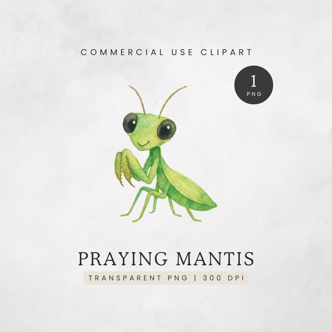 Praying Mantis Clipart, Green Bug PNG, Insect Clip Art, Silly Cartoon ...