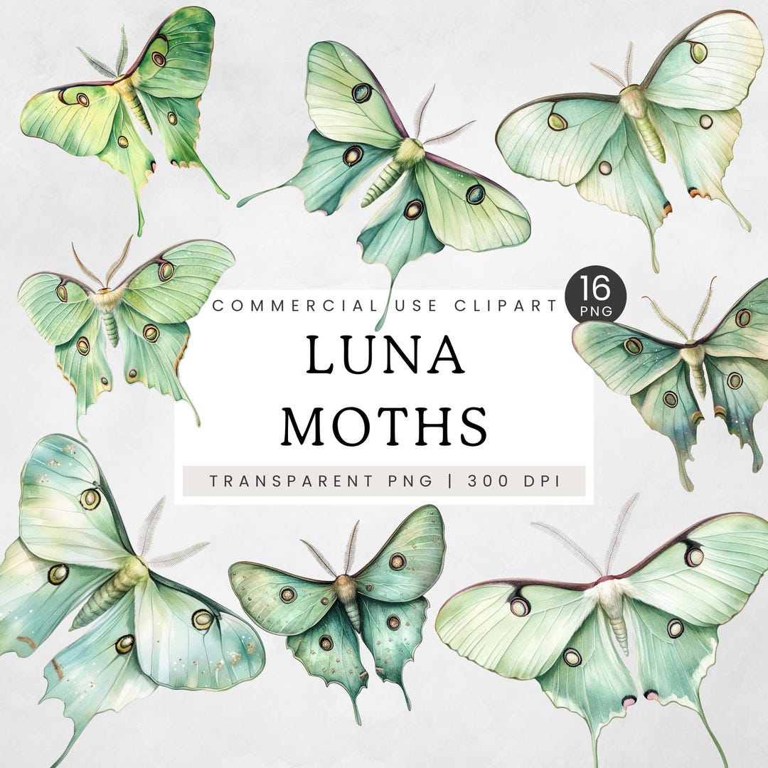 Luna Moth Clipart, Vintage Moth Illustration, Watercolor Pastel Luna ...