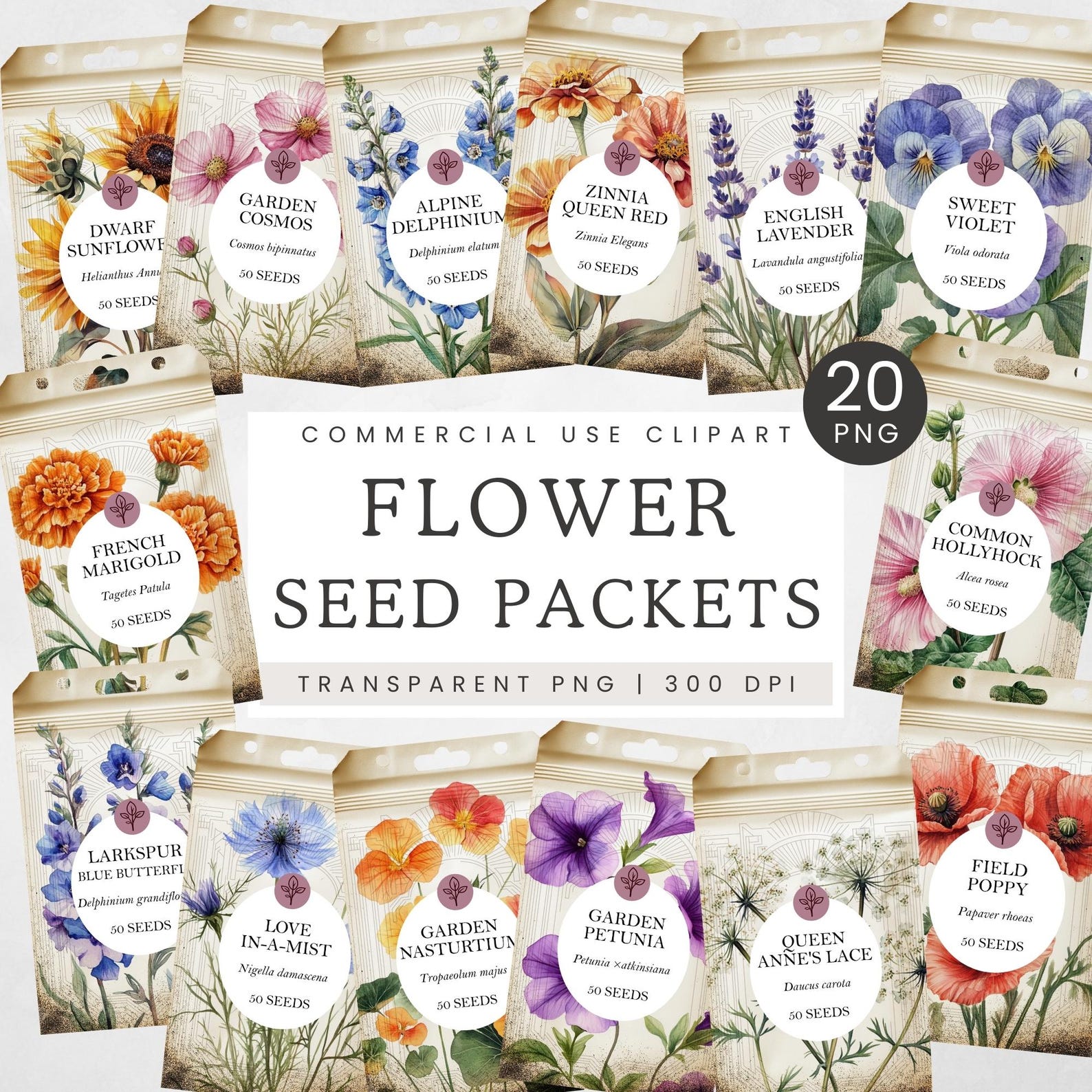 Flower Seed Packet Clipart, Seed Packet PNG, Vintage Scrapbooking Clip ...