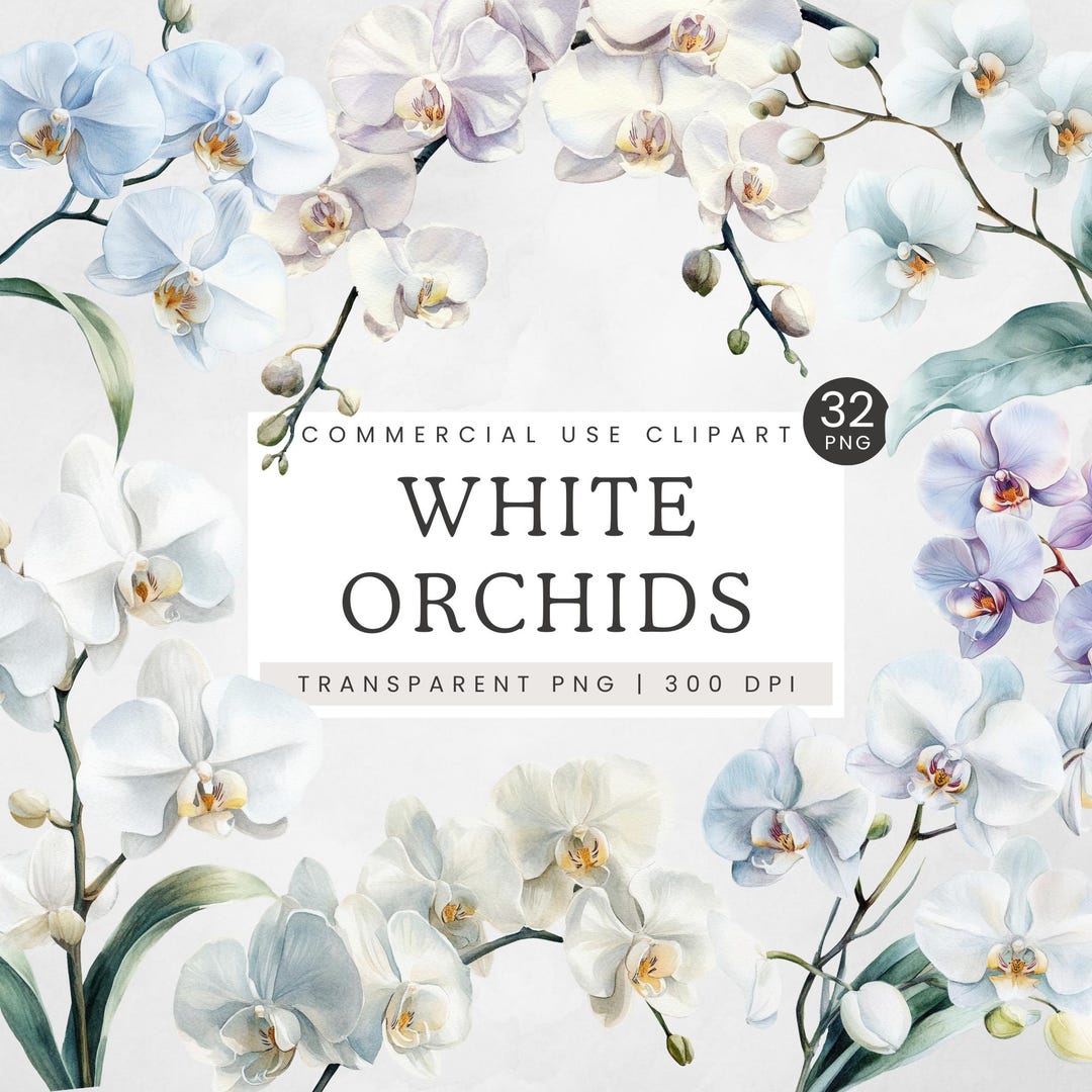 White Orchid Clipart, Watercolor Wedding Flowers PNG, Tropical Orchids ...