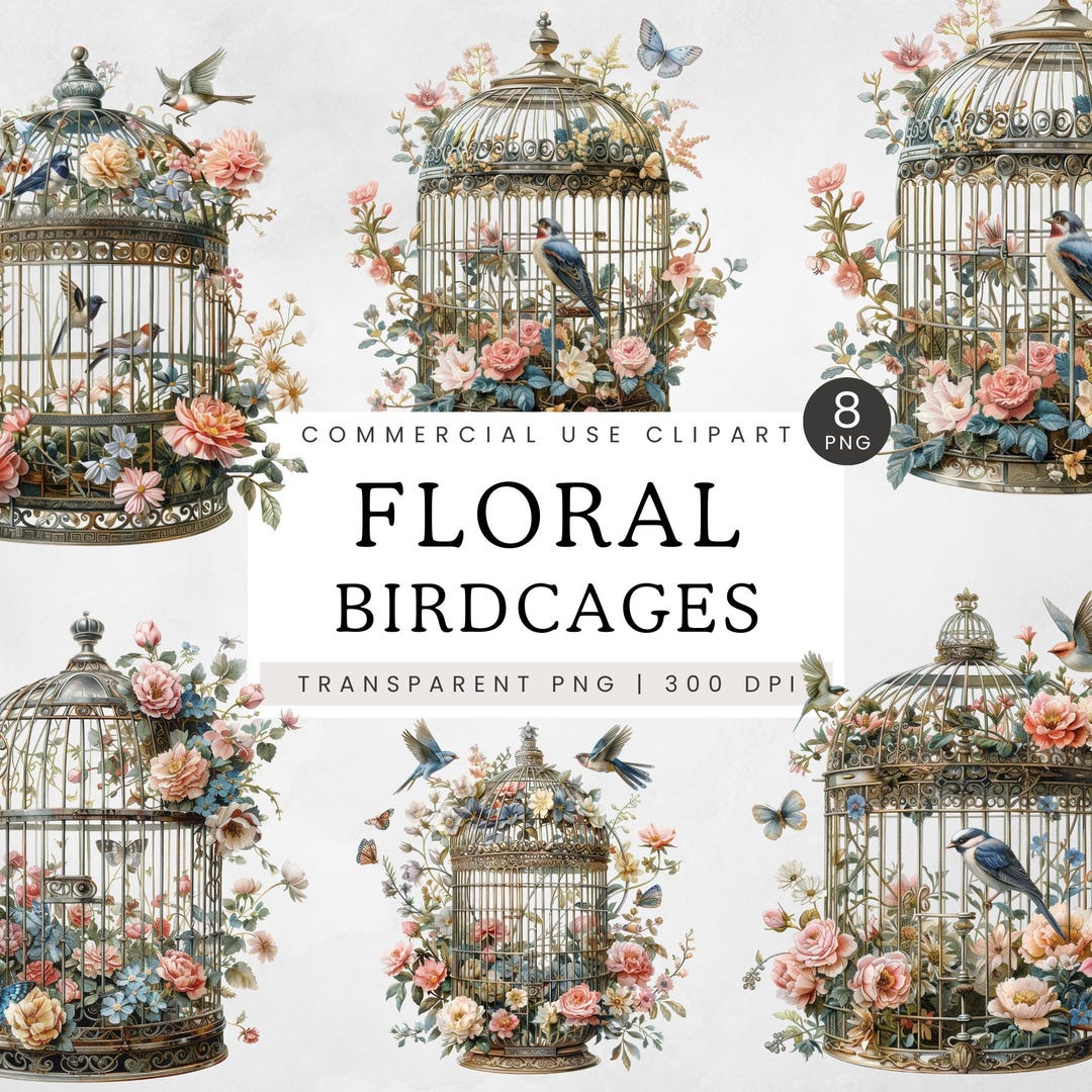 Watercolor Birdcage Clipart, Shabby Chic Clip Art, Floral Victorian ...