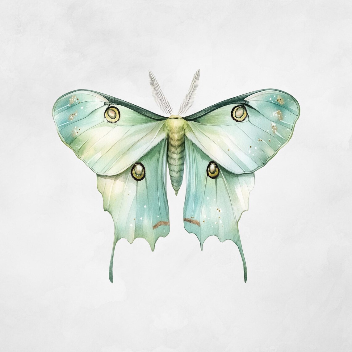 Luna Moth Clipart, Vintage Moth Illustration, Watercolor Pastel Luna ...