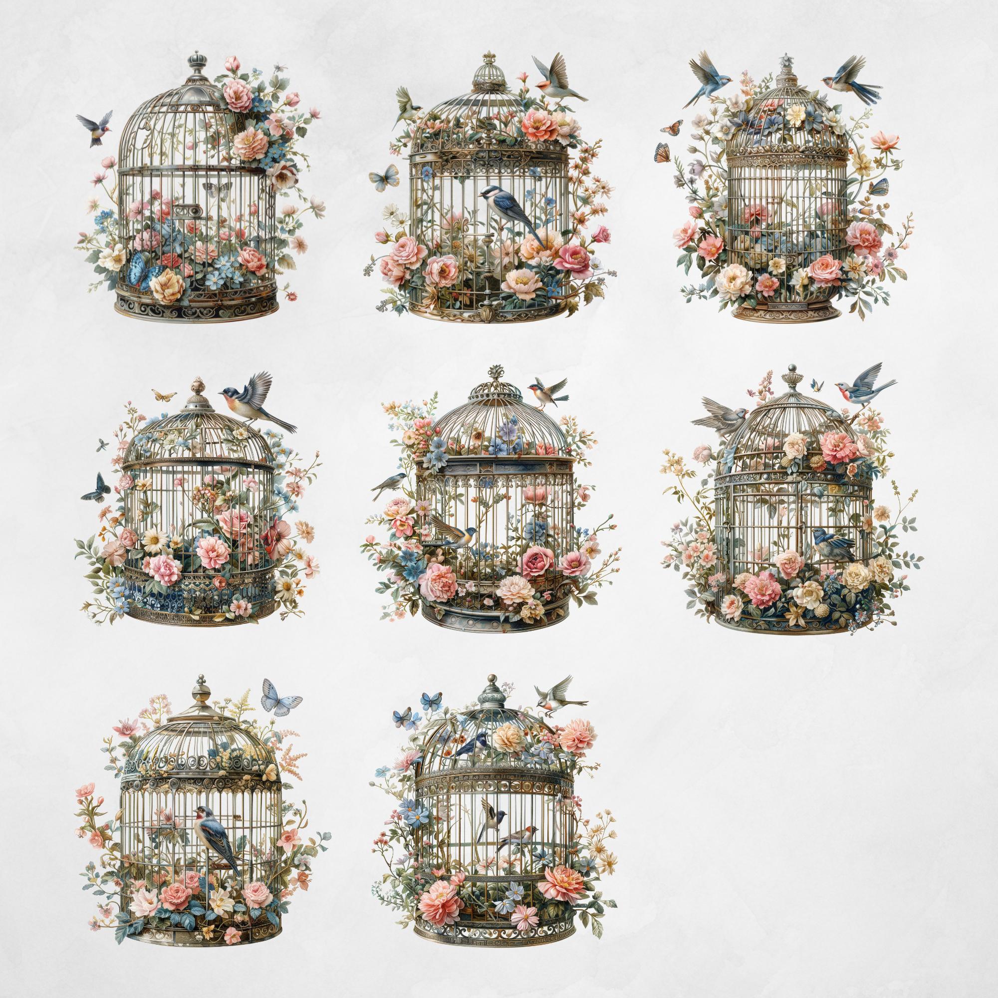 Watercolor Birdcage Clipart, Shabby Chic Clip Art, Floral Victorian ...