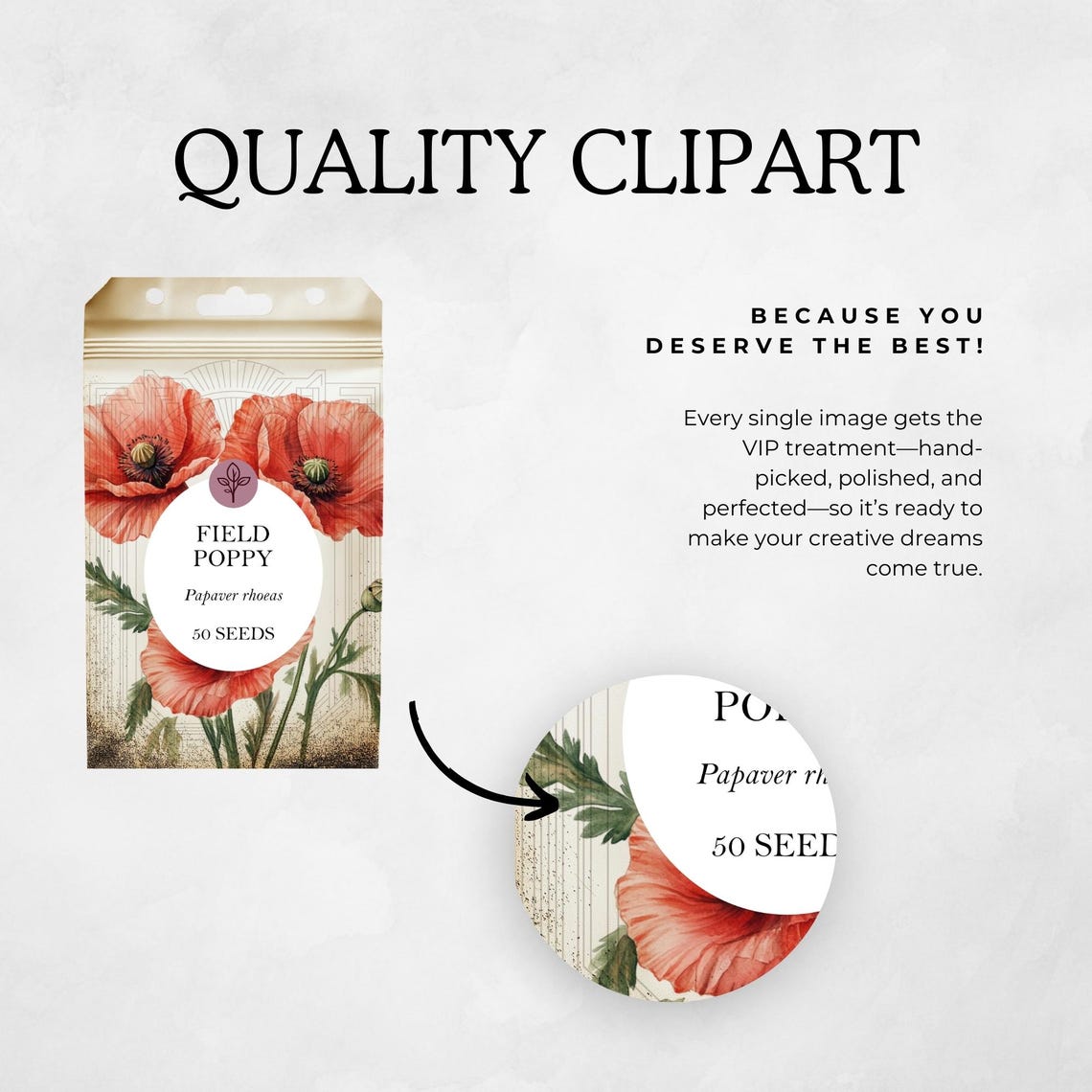 Flower Seed Packet Clipart, Seed Packet PNG, Vintage Scrapbooking Clip ...
