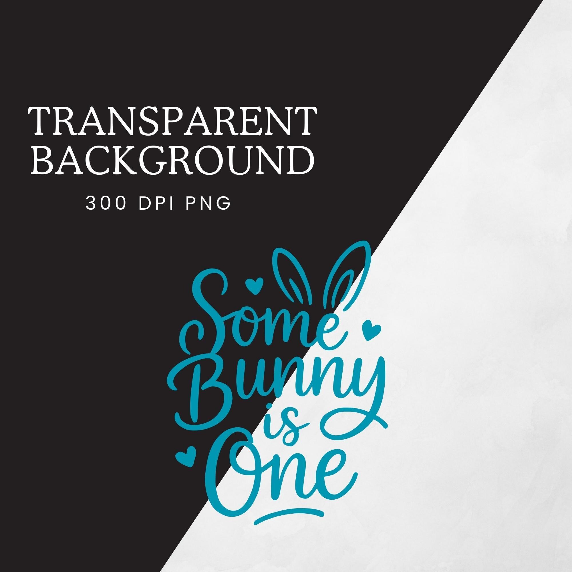 Some Bunny is One PNG, Bunny First Birthday SVG, Rabbit 1st Birthday ...