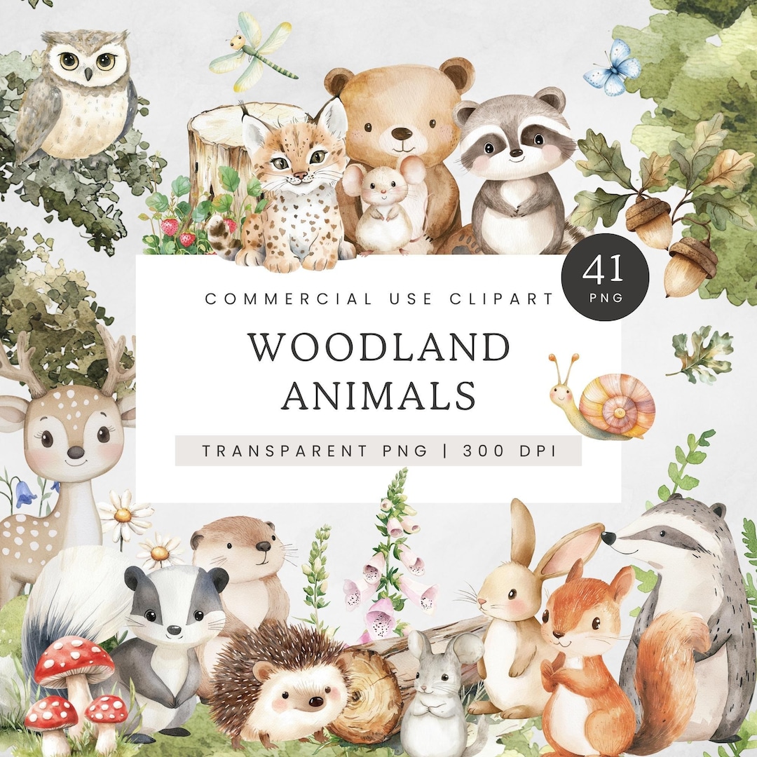 Woodland Friends Clipart, Watercolor Woodland Animal Clip Art, Cute ...