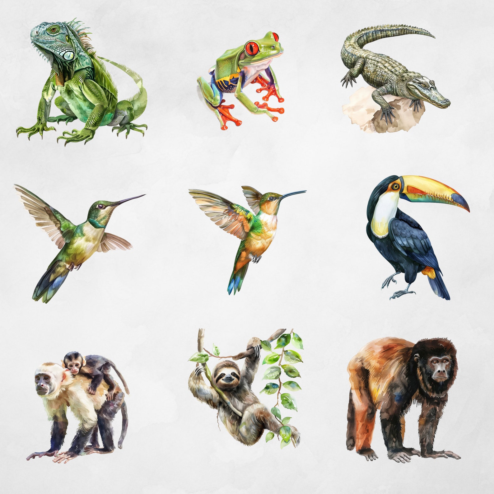 Costa Rica Animals PNG Clip Art, Rainforest Animals Clipart, Sloth ...