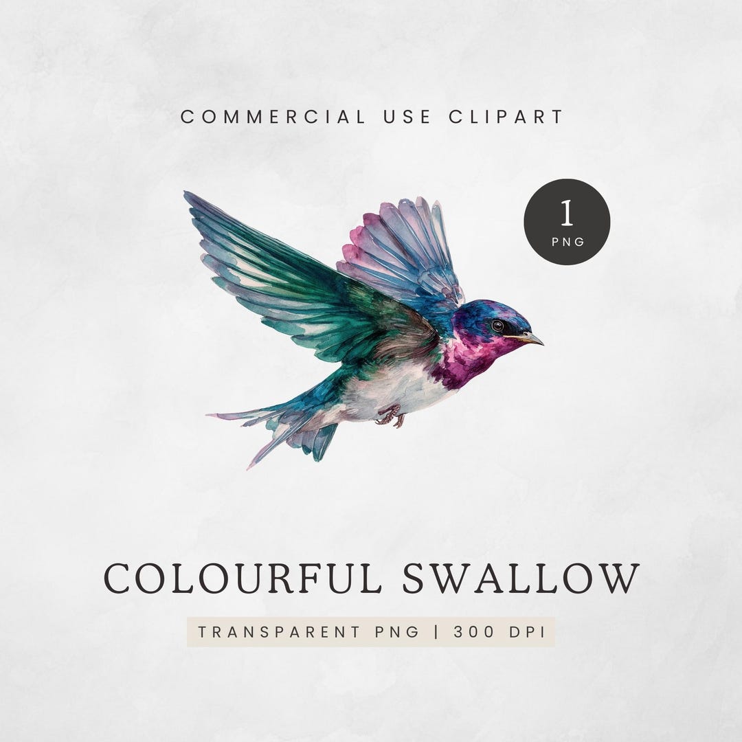 Colourful Watercolour Swallow Clipart, Flying Bird Illustration ...