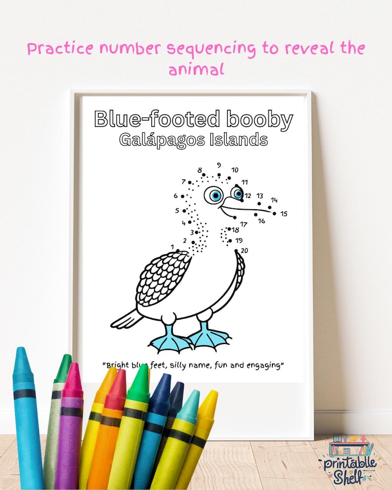 Wild World Dot to Dot Printable Activity Book, Rare and Unusual Animals ...
