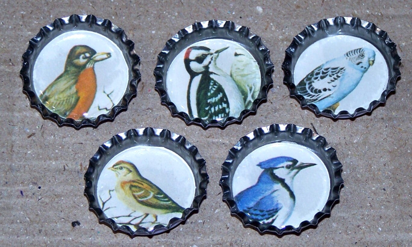 Birds: Decorative Bottle Cap Thumb Tacks - Etsy