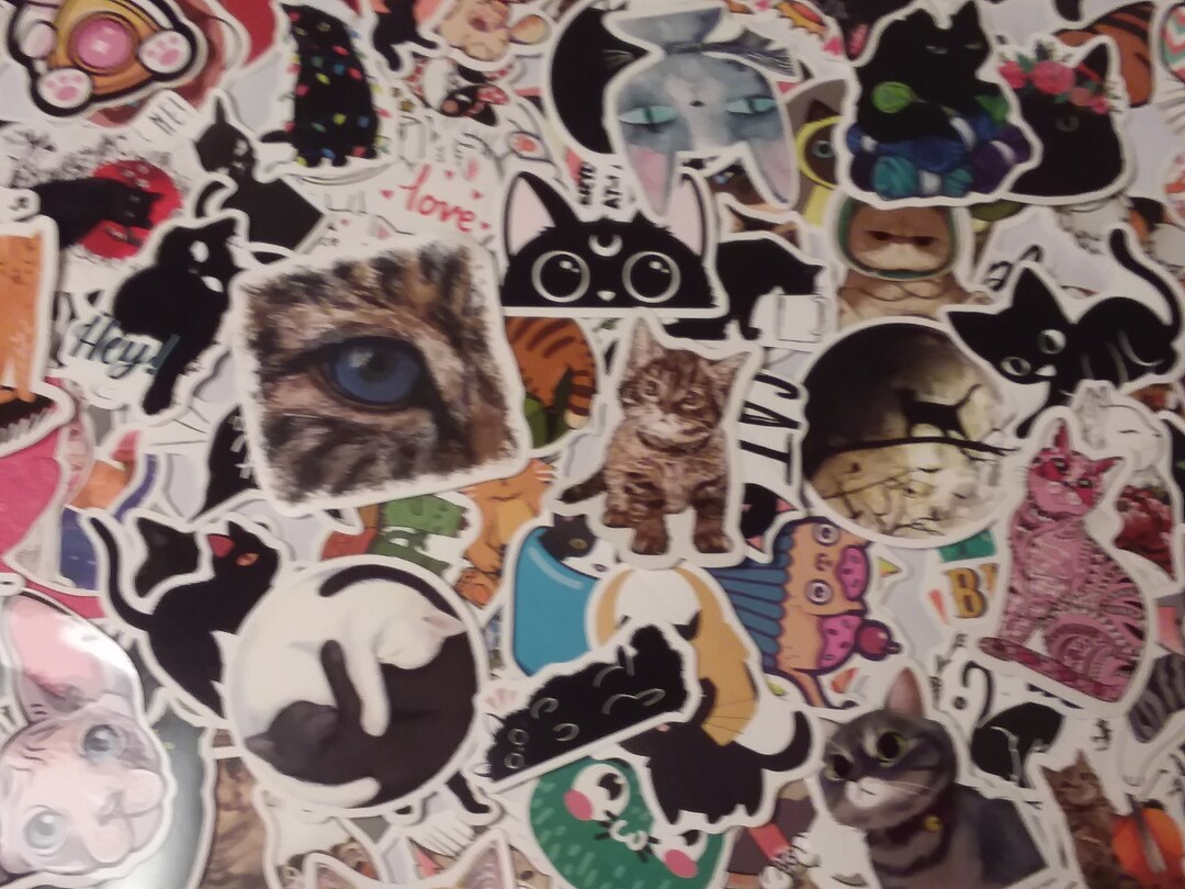 200 Vinyl Cat Stickers! - Etsy