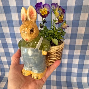 Bunny Rabbit Planter Flower Pots | Peter Rabbit | Your Choice of 2 ...