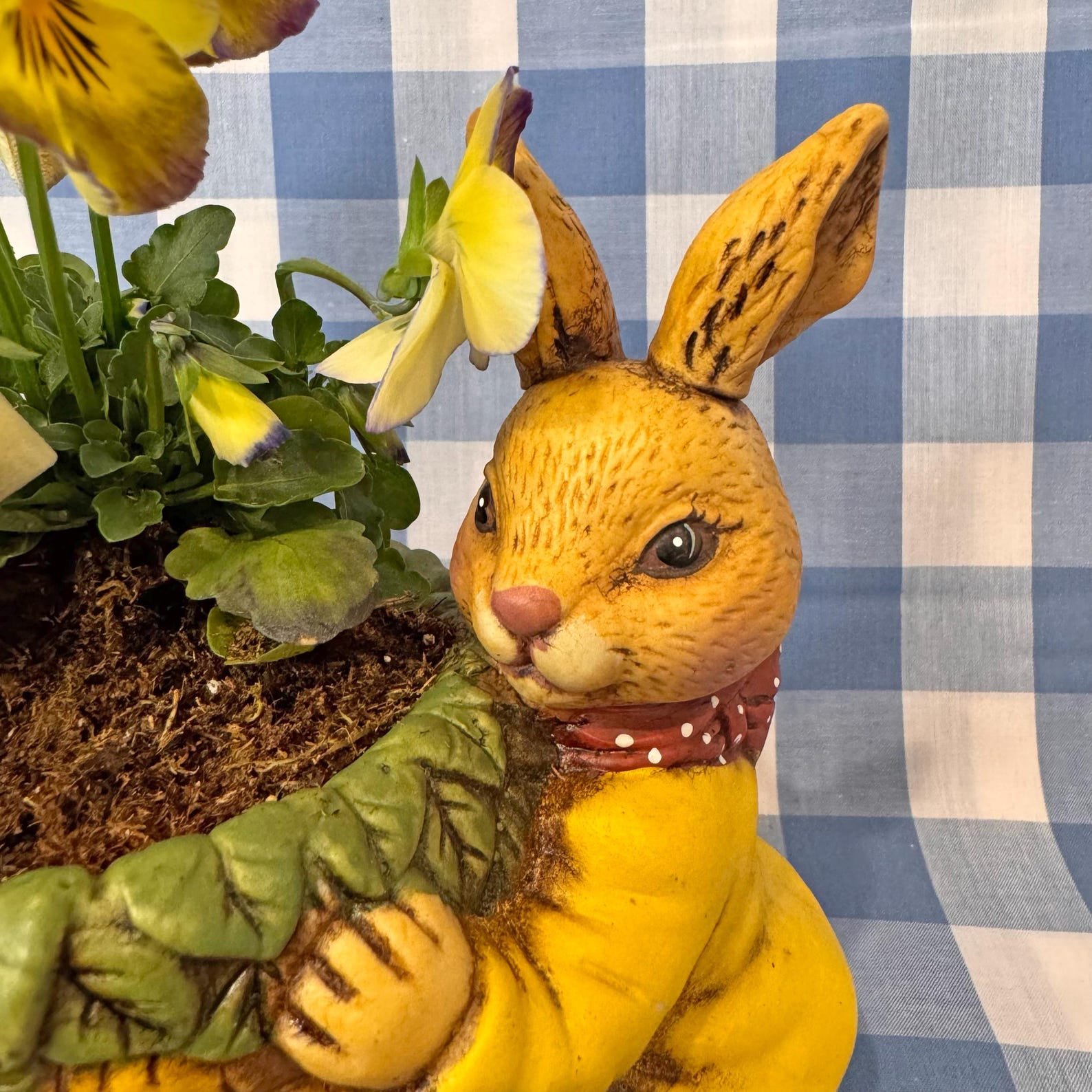 Bunny Rabbit Planter Flower Pots | Peter Rabbit | Your Choice of 2 ...