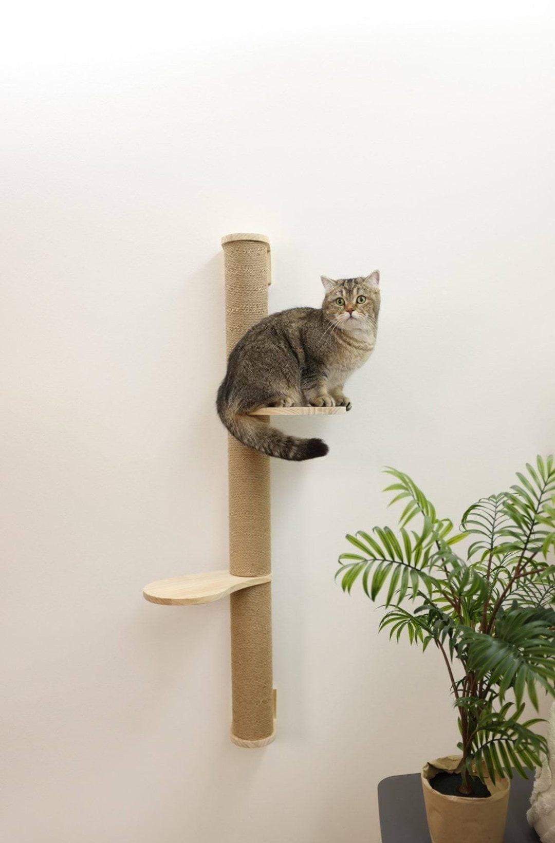 Wooden Cat Scratching Post, Scratching Post With Shelves, Wall ...
