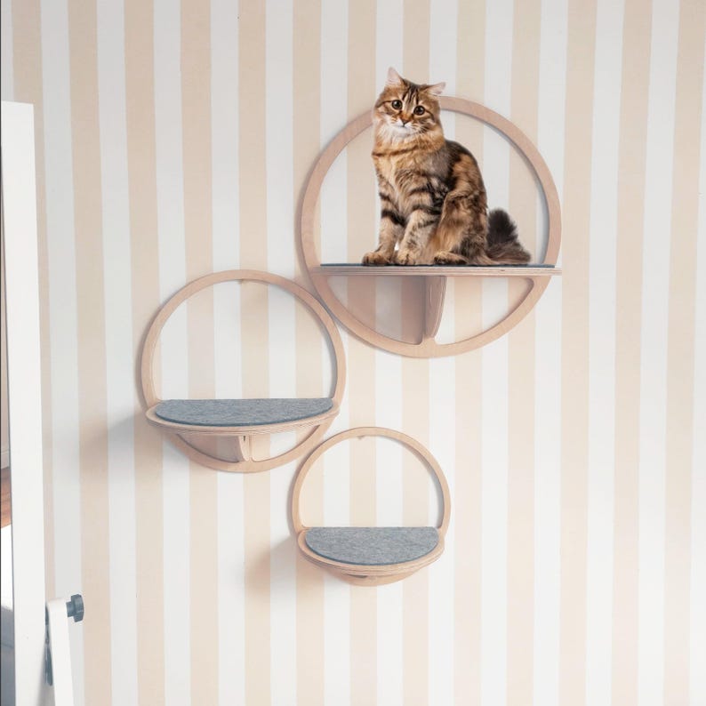 Cat Shelf, Cat Shelf for Walls, Wall Cat Shelf, Wall Shelves for Cat ...