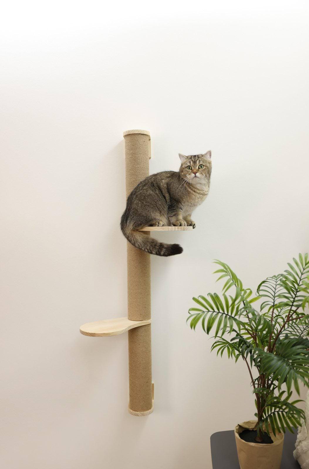 Wooden Cat Scratching Post, Scratching Post With Shelves, Wall ...