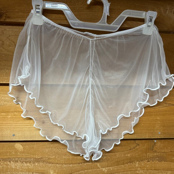 Sheer Panties and Bra - Etsy