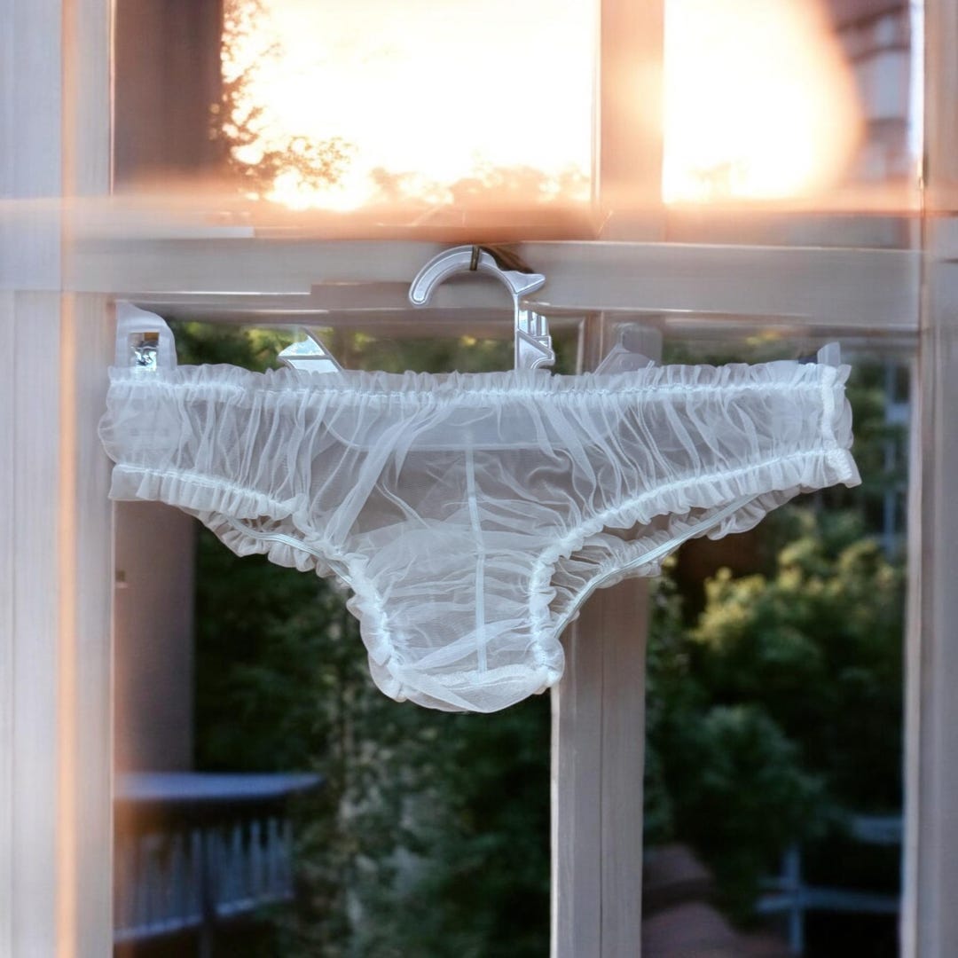 White Chiffon Bloomers - Sheer Sexy Panties - Etsy