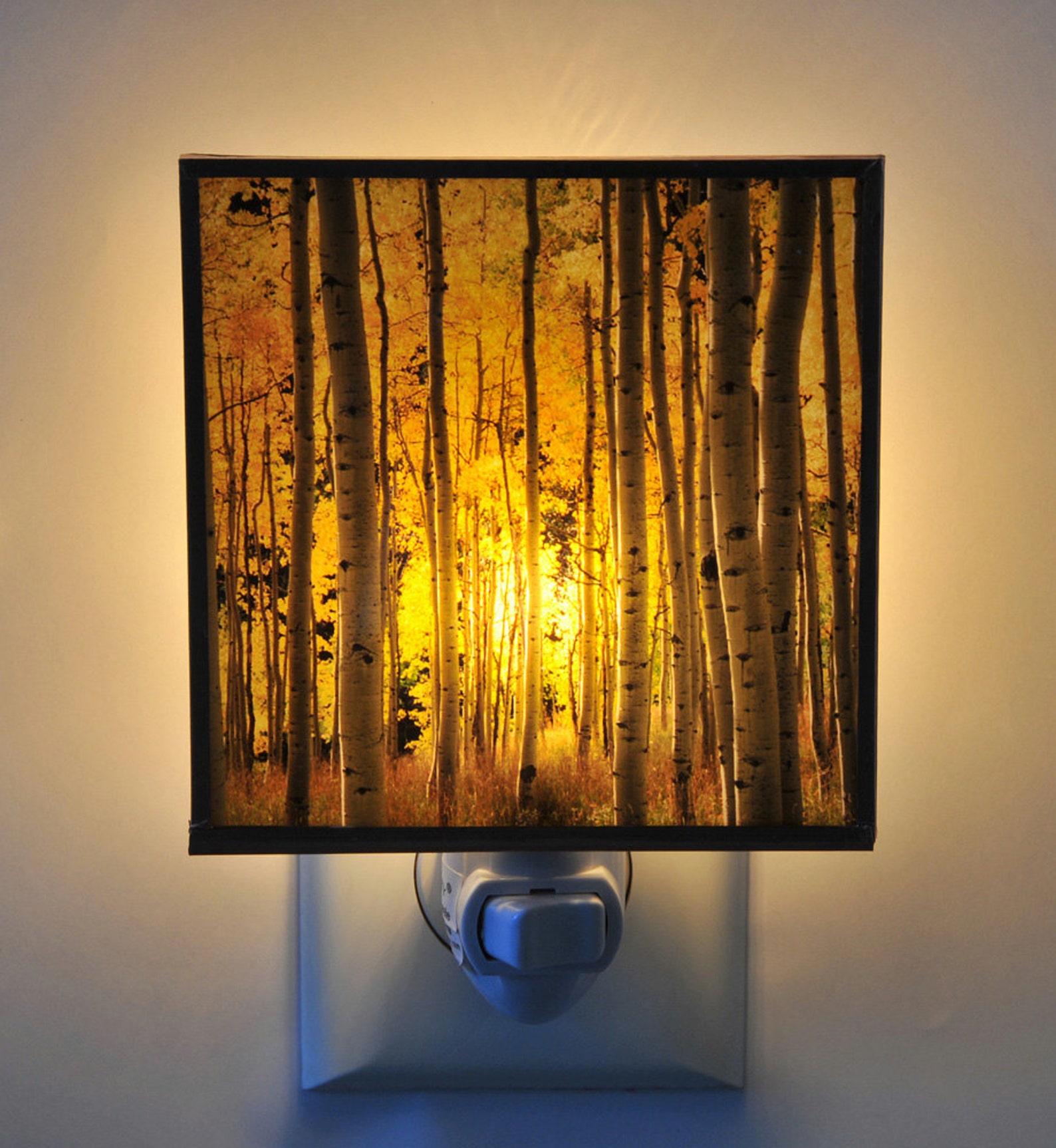 Aspen Grove Night Light From the Signature Photography Line of Steele ...