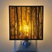 Aspen Grove Night Light From the Signature Photography Line of Steele ...