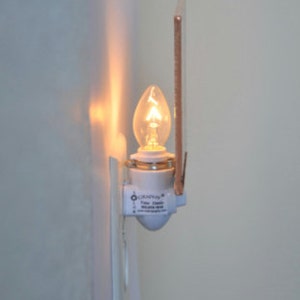 Aspen Grove Night Light From the Signature Photography Line of Steele ...