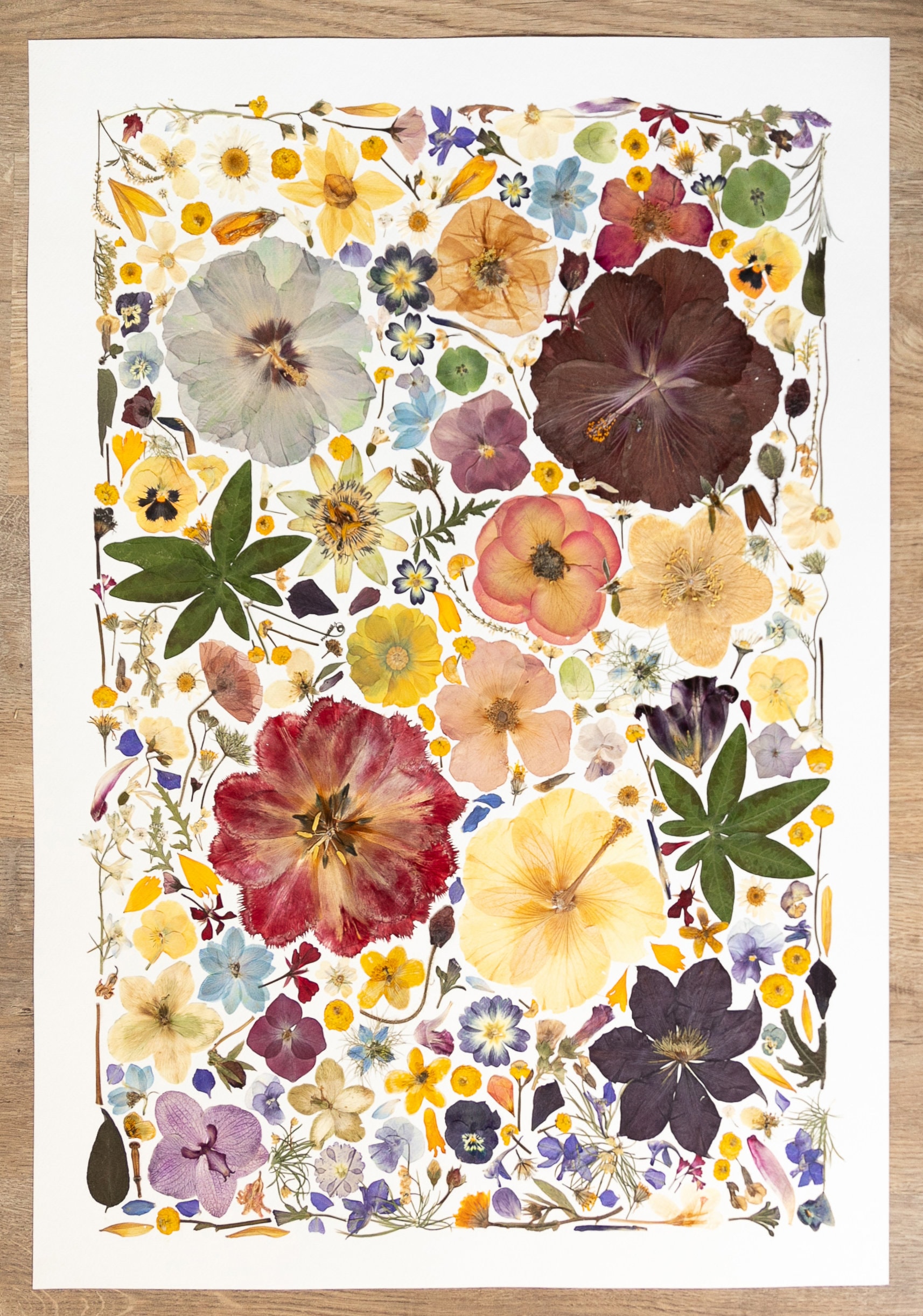 Pressed Flower Art - Etsy