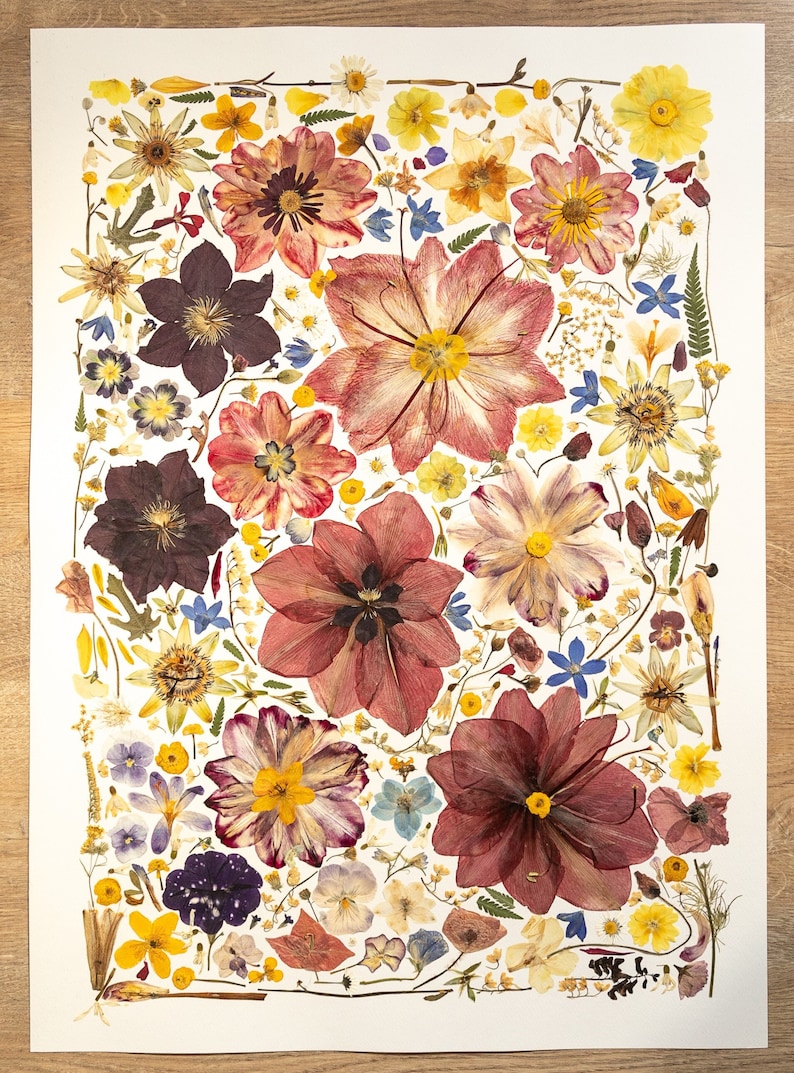 Pressed Flower Art - Etsy