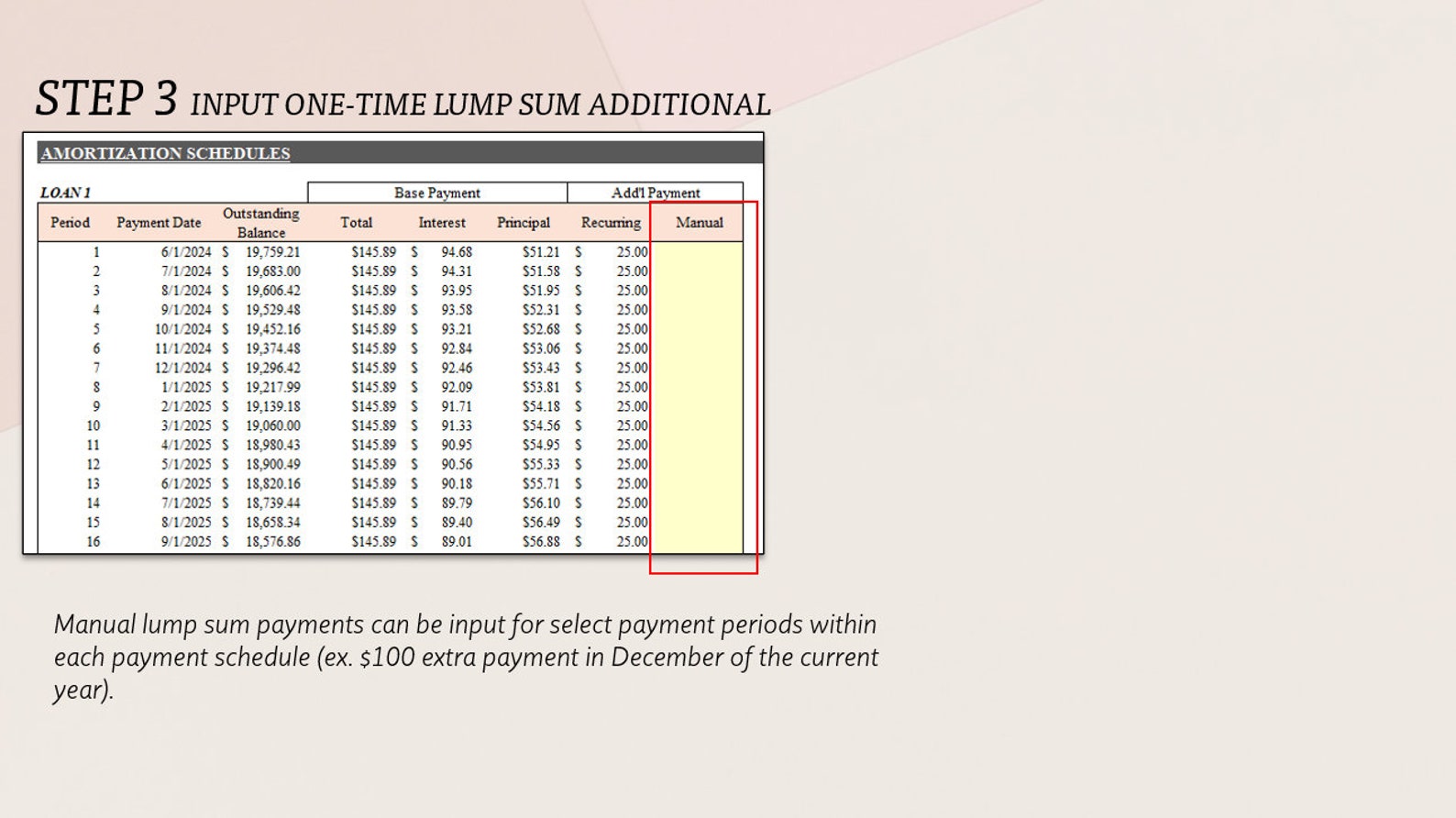Multiple Loan Early Payoff Calculator | Excel Spreadsheet, Student Loan ...