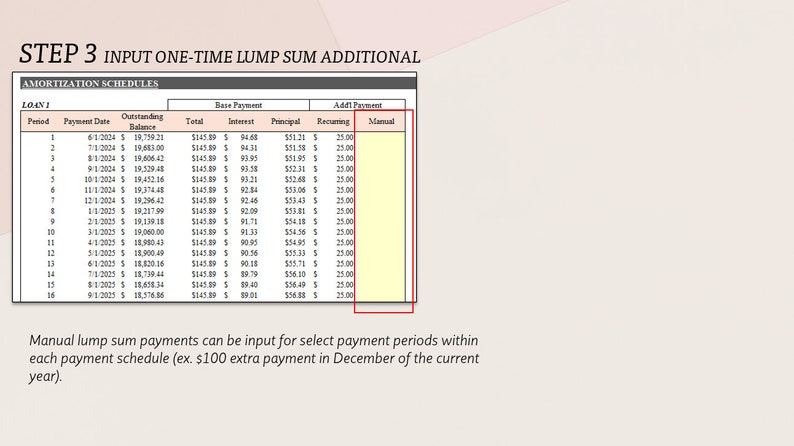 Multiple Loan Early Payoff Calculator | Excel Spreadsheet, Student Loan ...