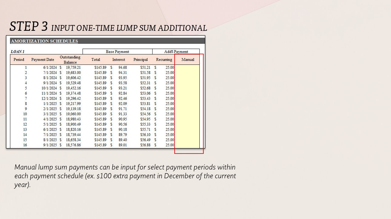 Multiple Loan Early Payoff Calculator | Excel Spreadsheet, Student Loan ...