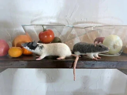 Rat Knitting Pattern, Mouse Knitting Pattern, Toy Knitting Pattern, PDF ...