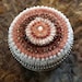 Wool Circles, (50) 3/4" Circles for Wool Penny Rugs, Set of 50 Circles ...