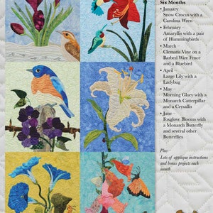 Pfd Tutorial Pattern #3 Pdf, Hand Applique Technique, Hummingbird, Plus ...