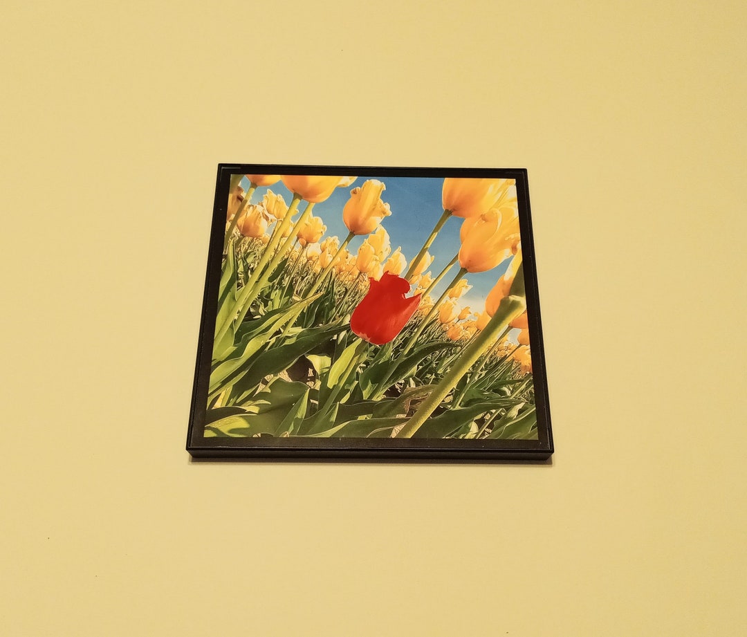 Mix Tiles | Diff Styles | 8x8 | Photo Tile | Photo Print | Home Decor ...