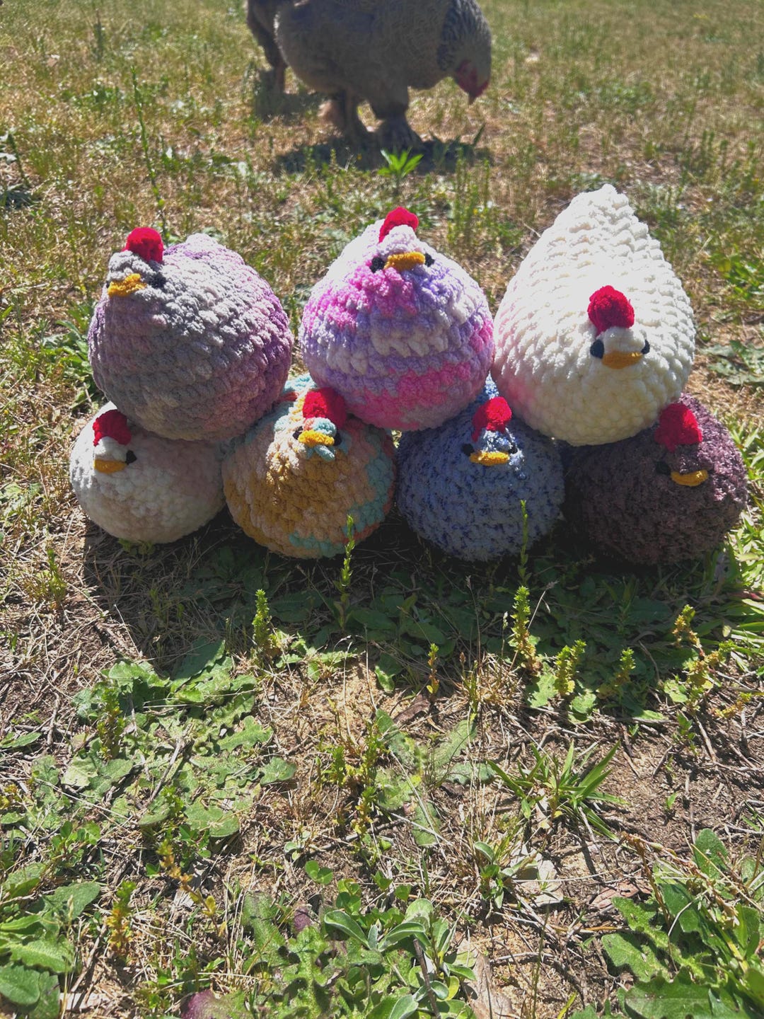 Crochet Chicken: Farmhouse Decor, Kids Toy - Etsy