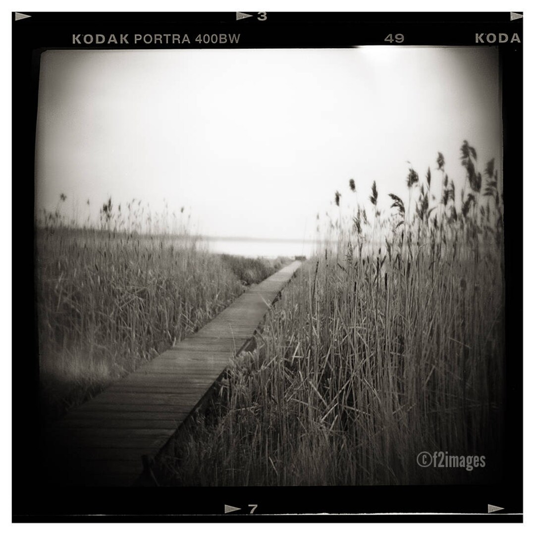 Wander; Photography, Fine Art Photography, Landscape Art, Wall Art ...