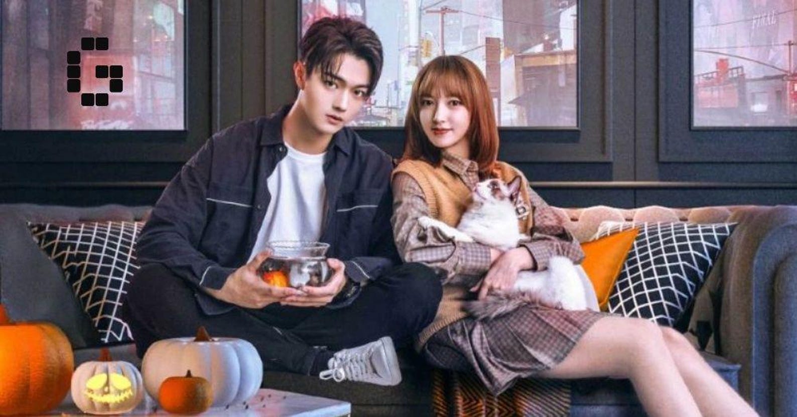 Falling Into Your Smile Cdrama KDRAMA Kpop Serie Oppas - Etsy