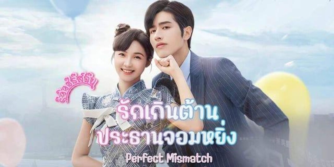 Perfect Mismatch (2023) CHINESE Drama BL Drama ASIAN Lgbt - Etsy