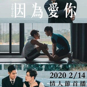 Because of You (TW 2020) Taiwan Drama BL Drama Asian LGBT Eng Subtitles - Etsy