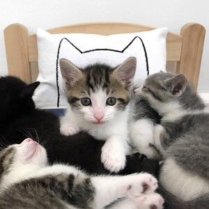 Unique Cat Gifts, Catnip Catnap Bed Kicker Toy Pillow That Fits IKEA ...