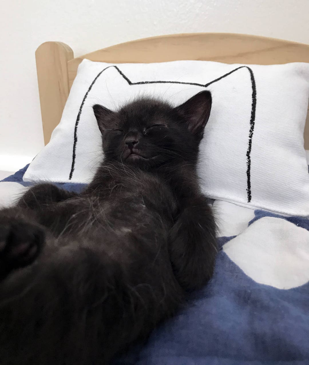 Unique Cat Gifts, Catnip Catnap Bed Kicker Toy Pillow That Fits IKEA ...