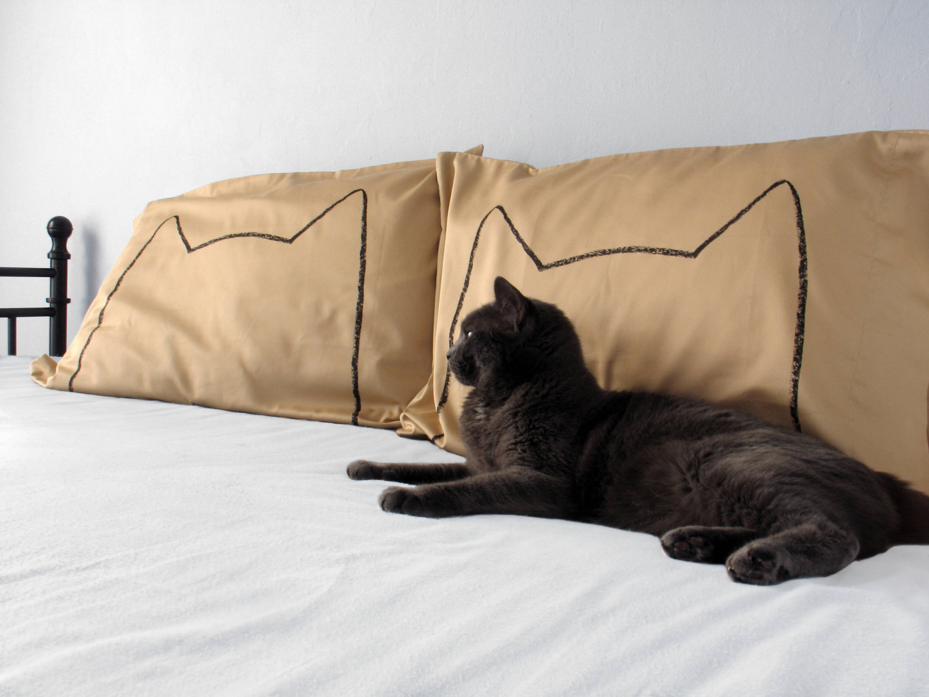 Cat Nap Pillowcase Set Cat Lover Pillow Case Bedding Black Etsy