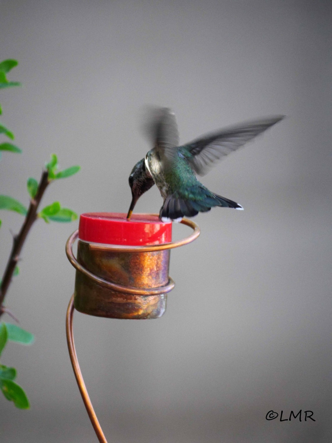 Flower Pot Stake Hummingbird Feeder Bee-proof Solid Copper - Etsy