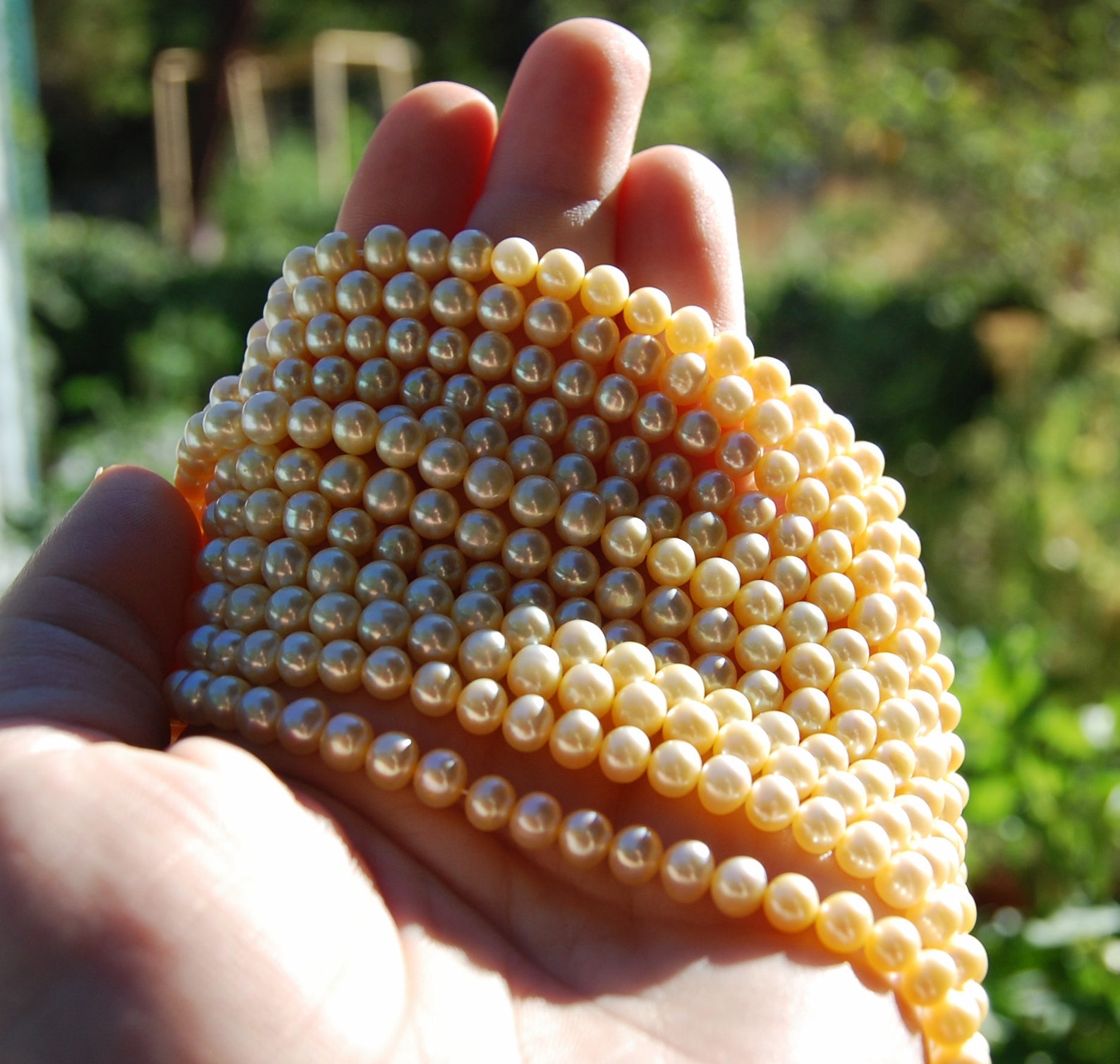 5.5 Mm Potato Shaped Fresh Water Pearls Pale Yellow Natural - Etsy