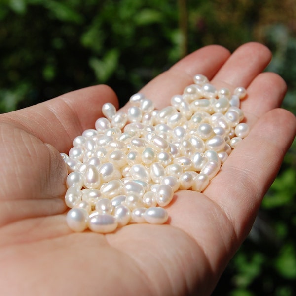 Oval Shaped Pearl - Etsy