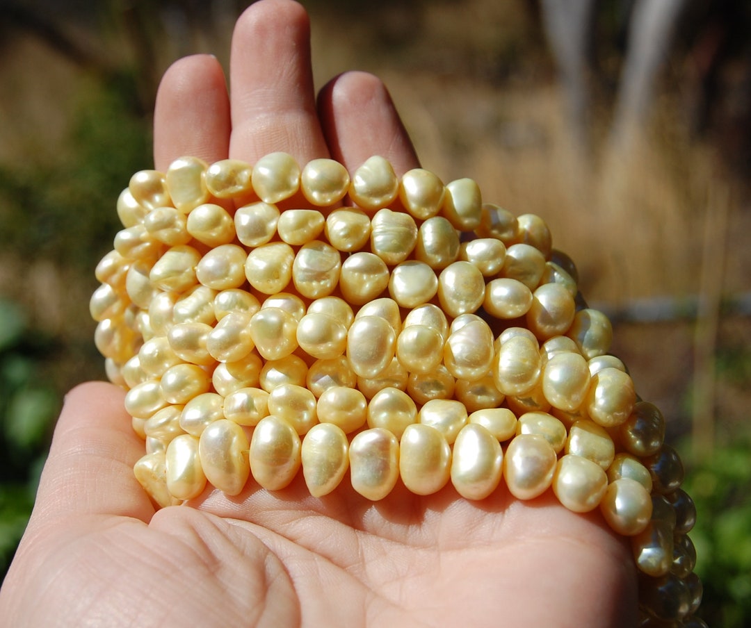 8.5 X 10 Mm Semi Round Yellow Pearls, Fresh Water Pearls, Natural ...