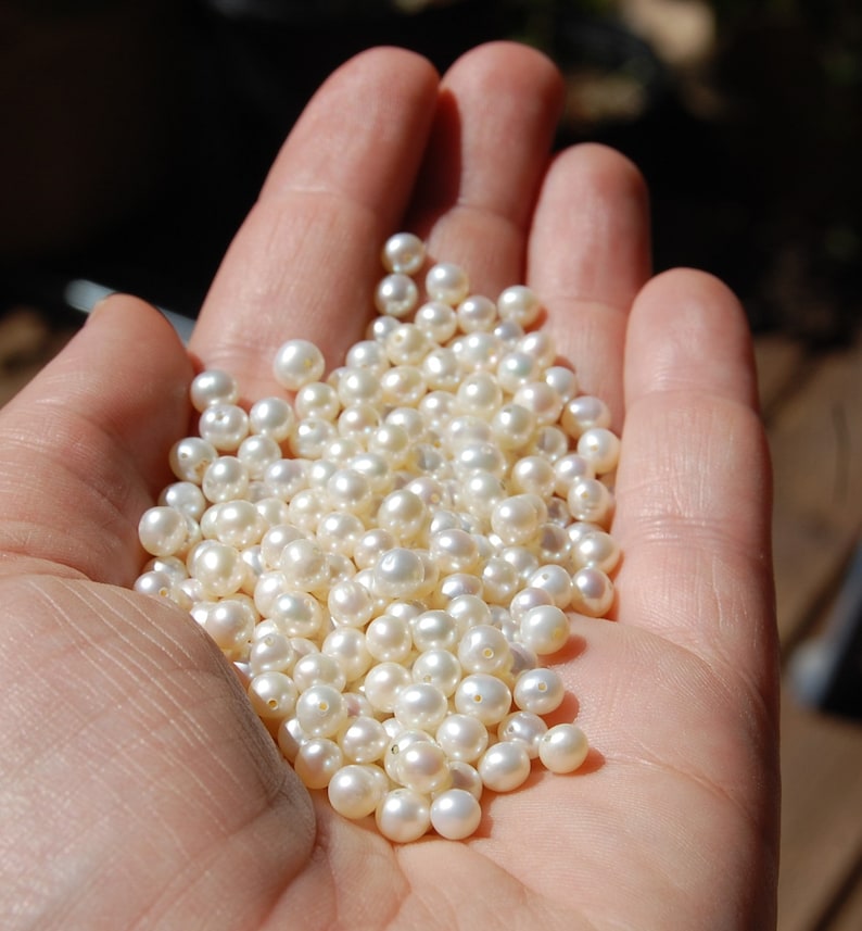 Cream Freshwater Pearls (4.5~5.5mm) - 25 Loose Jewelry Making Supplies ...